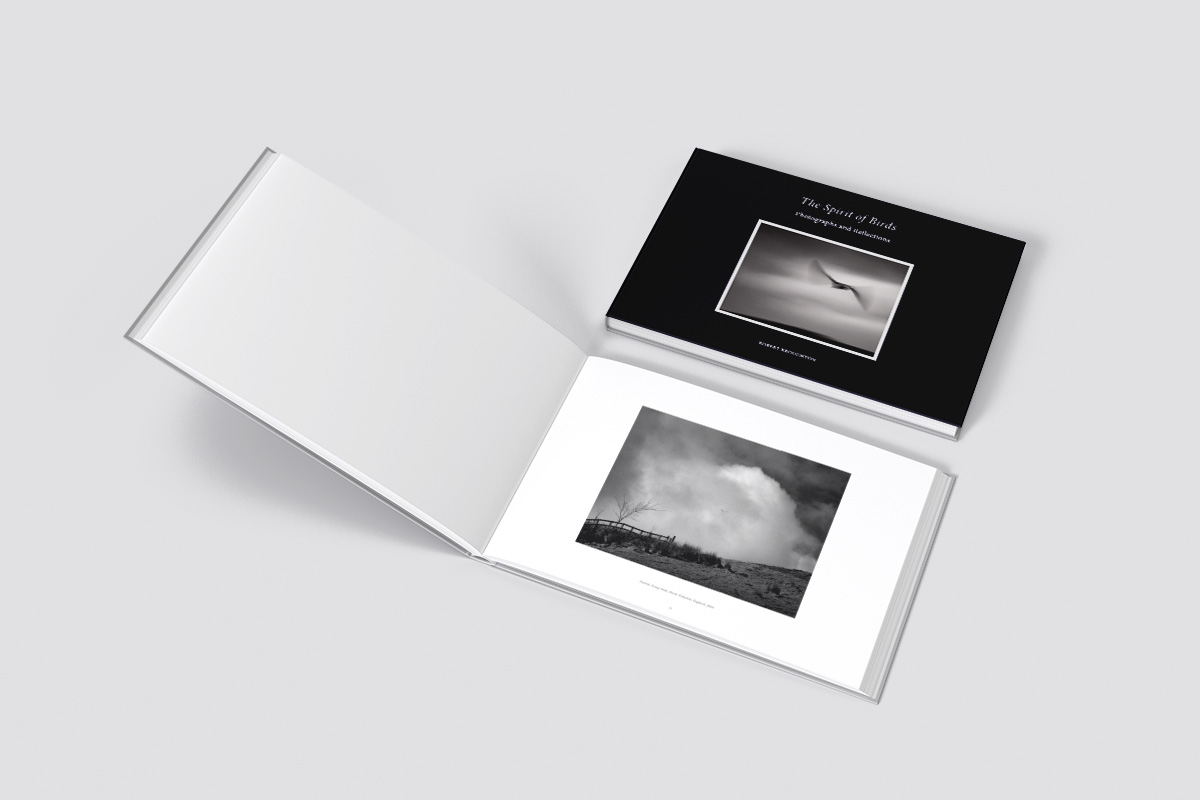 Events - Robert Broughton