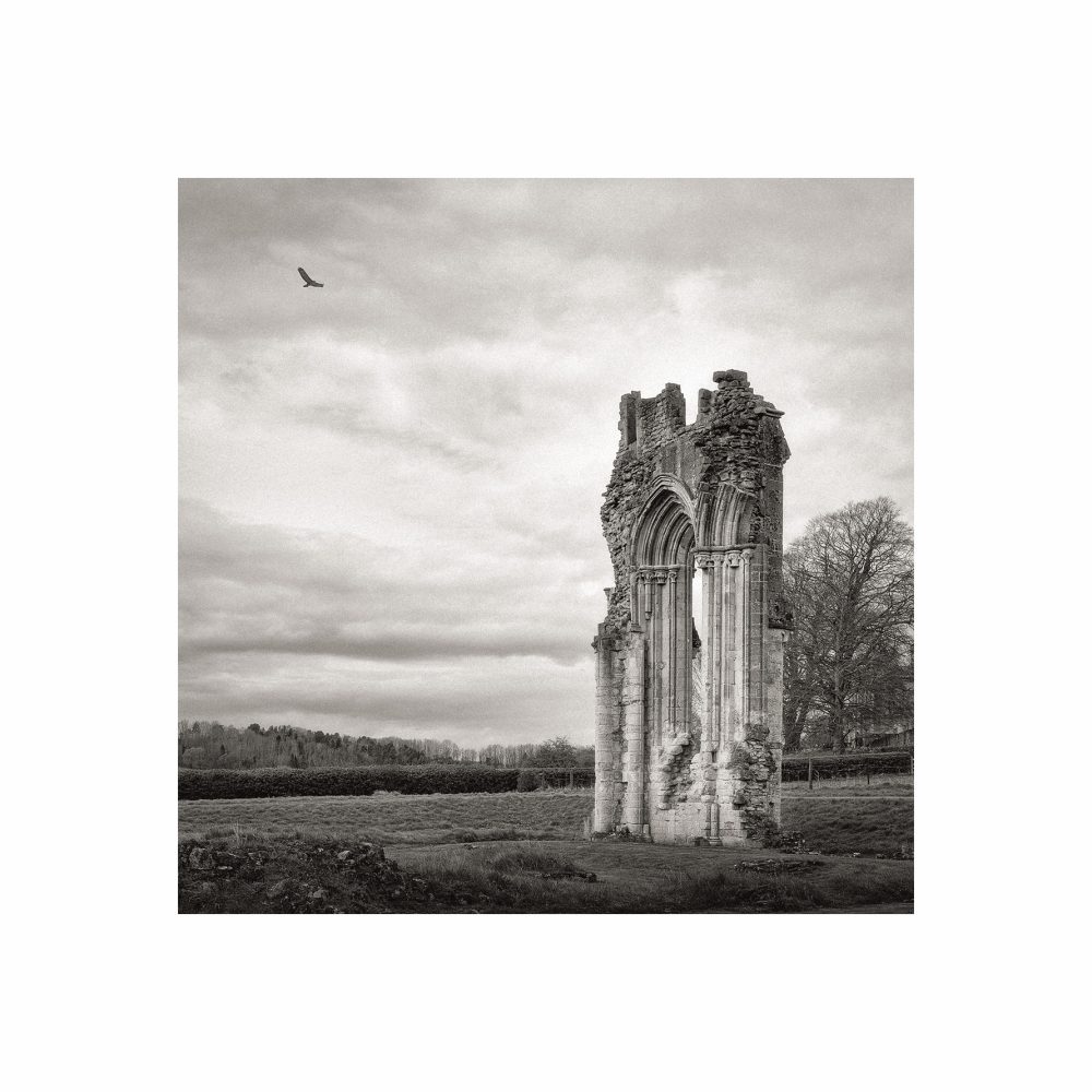 Buzzard, Kirkham Abbey, North Yorkshire, England, 2024 - Robert Broughton