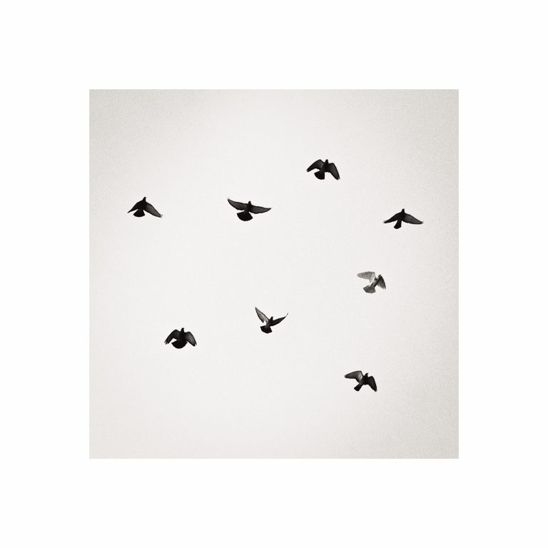 Home - Robert Broughton