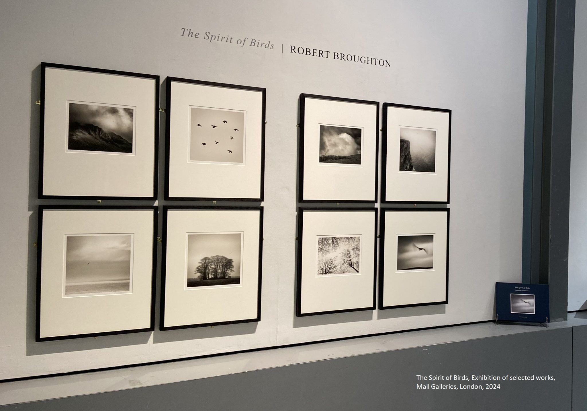 Exhibitions and Publications - Robert Broughton